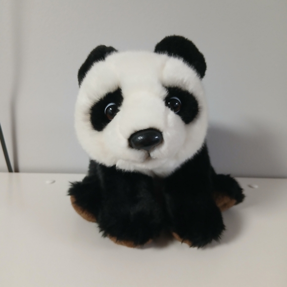 GANZ | Toys | Webkinz Signature Panda No Code Mint Condition | Poshmark